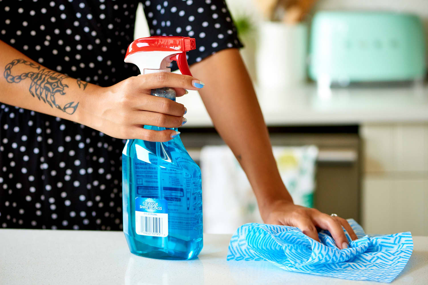 Can You Use Windex to Kill Ants and Bugs? | The Kitchn